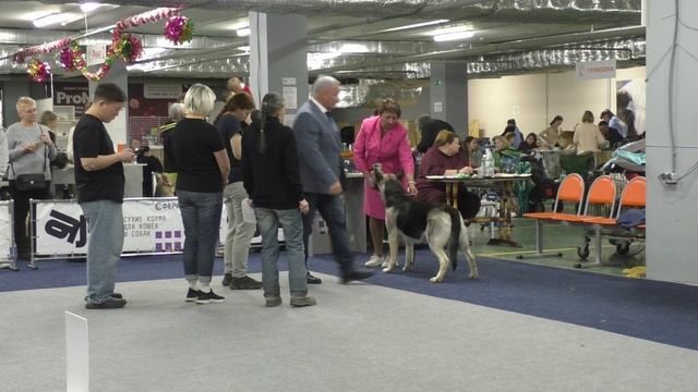 ПС Жемчужина Моей Души