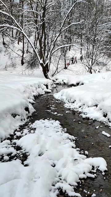 Живые картины русской природы 6