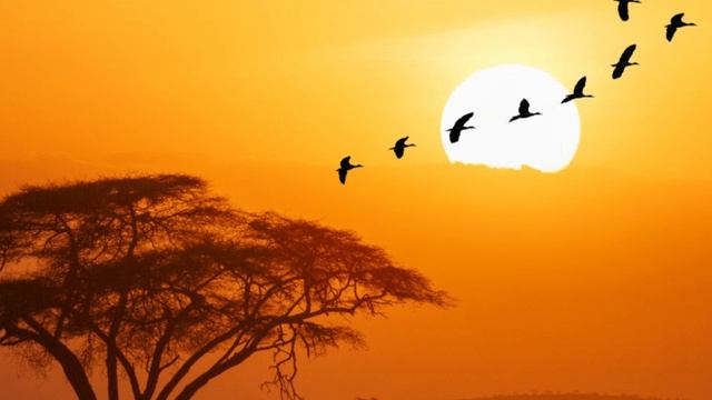 Слова и строчки — сделано в Clipchamp