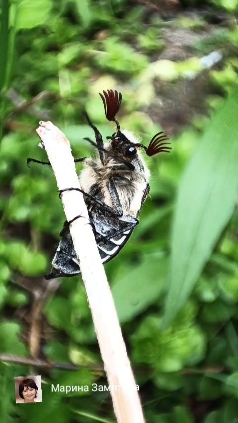 Времена года.