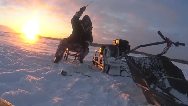 Столько Корюшки надёргал за один час! Съездил не прогадал!