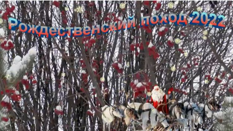 Наш Рождественский поход. Лузинские заповедные места) 7.01.2022