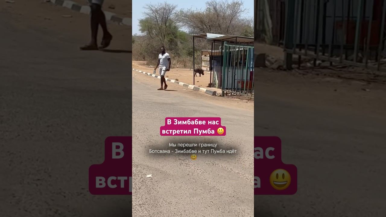Африка. Зимбабве. Граница с Ботсваной. Держим курс на водопад Виктория. Больше про трип в профиле