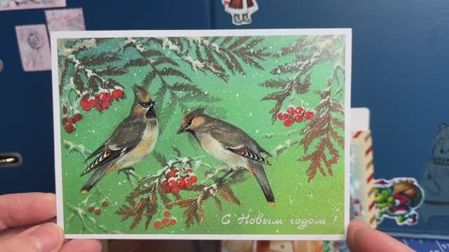 #10 Мои входящие открытки Декабрь 2025 ( 2 часть)