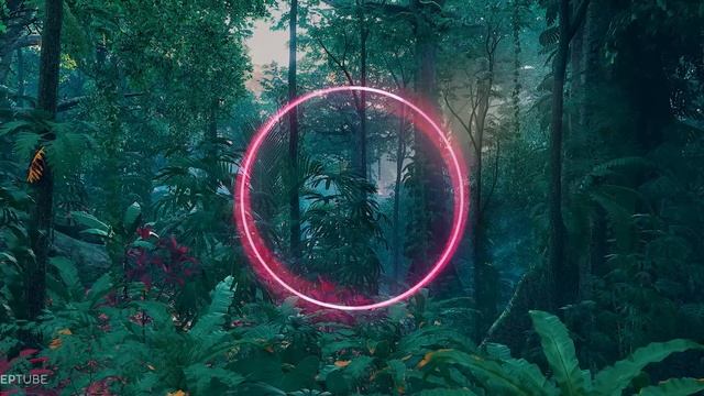 [ 40 Гц ] ГАММА бинауральных ритмов, эмбиентная учебная музыка для концентрации внимания.