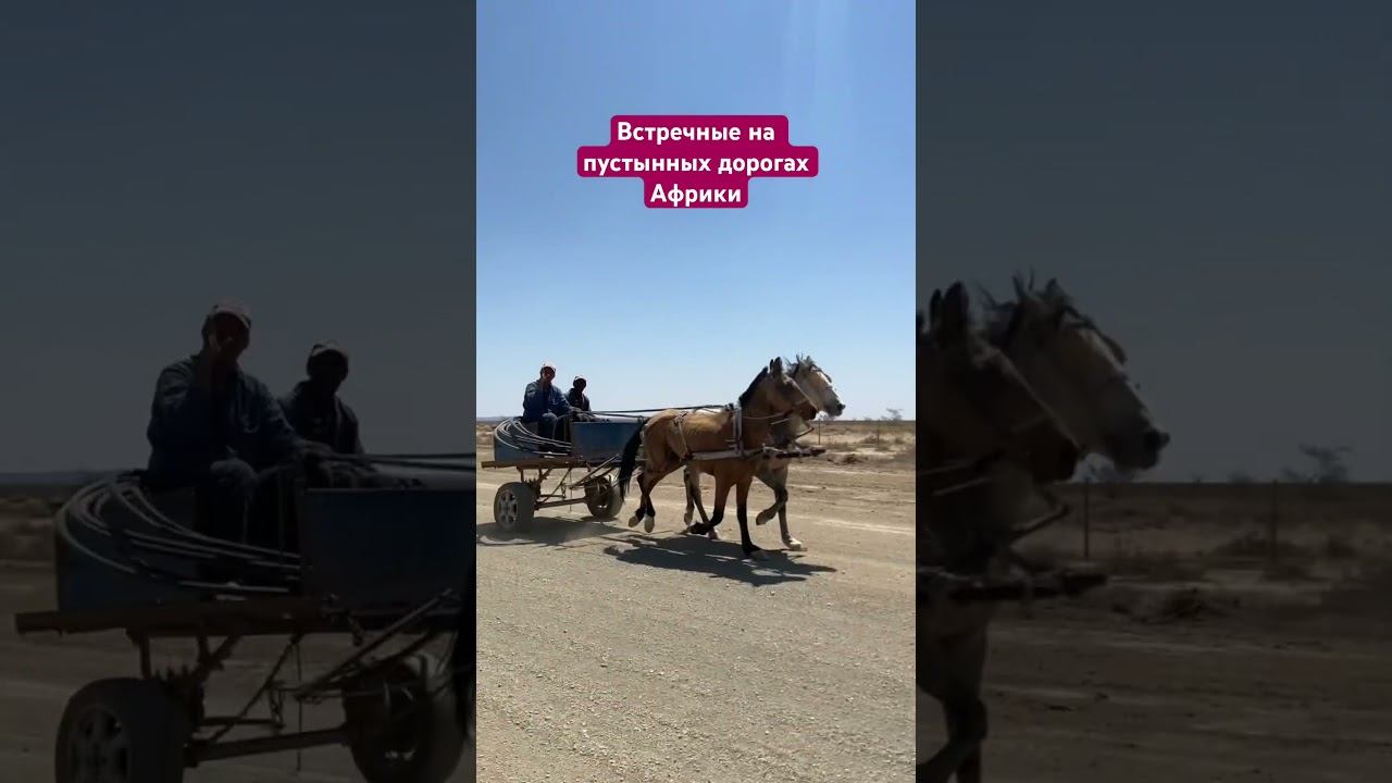 Вдоль дорог ничего нет, но пешеходы есть. Откуда они идут и куда загадка! Не видно никаких строений