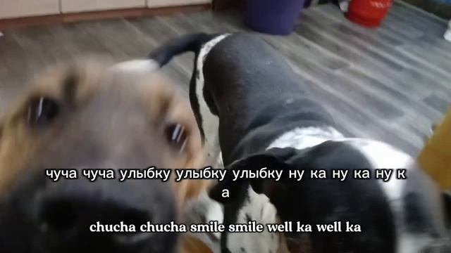 ПРИЮТ АНАНДА ЗАКУЛИСЬЕ