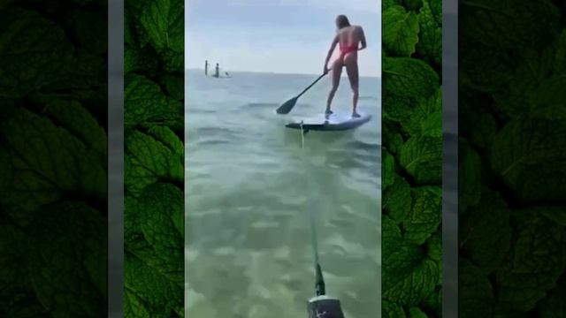 Сборник №77. Веселые и прикольные моменты которые попали случайно и не случайно в кадр! =)