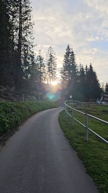 🇨🇭 Поездка в Альпах у Вильдауза | Швейцария