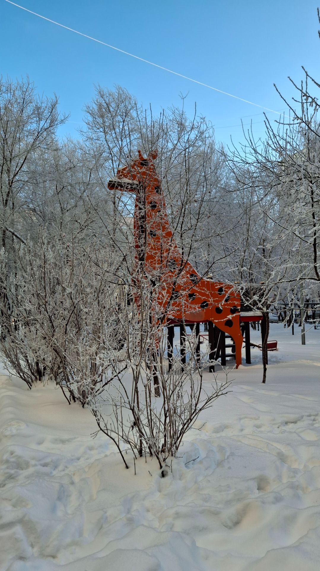 Зима в городе