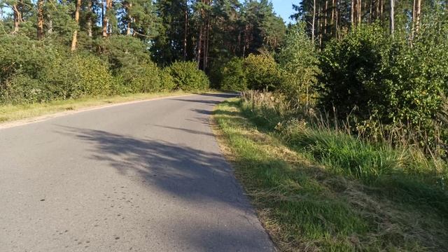 ВЕЛОСИПЕДНО - ПЛЯЖНЫЙ СЕЗОН 2025. 16 и 31 августа