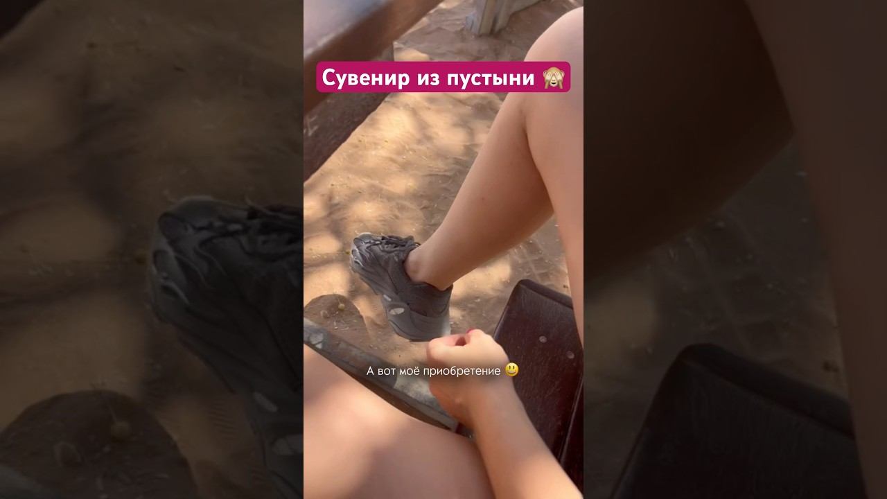 Сувенир из пустыни Deadvlei. Идти обязательно в закрытой обуви. Больше про Африку в профиле