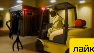 закулисье перевозка пошла не по плану