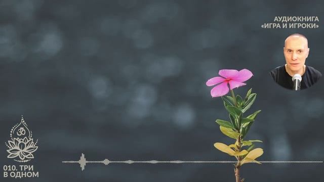 Игра и Игроки. 010. Три в одном. Сиддханта (Вячеслав Чернин)
