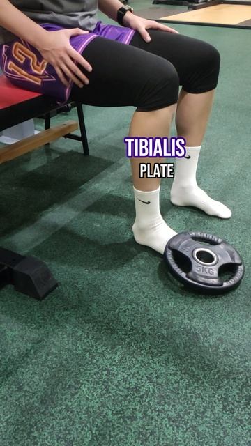 Tibialis optoions |  Упражнения на переднелатеральную группу мышц голени с различным оборудованием