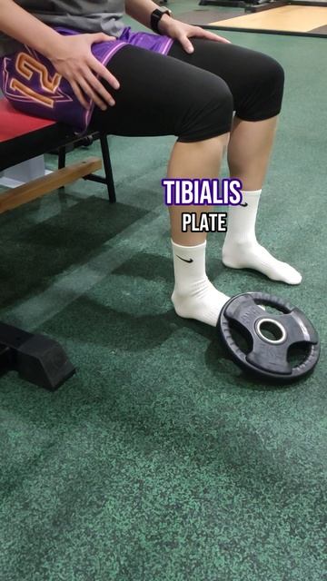 Tibialis Plate | Упражнение на переднелатеральную группу с блинчиком