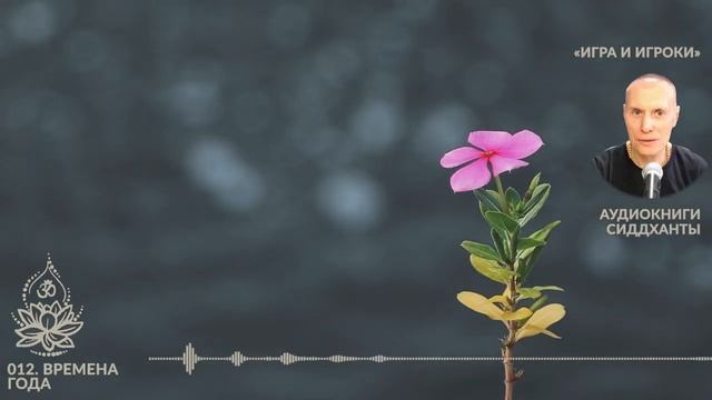 Игра и Игроки. 012. Времена года. Аудиокниги Сиддханты (Вячеслава Чернина)