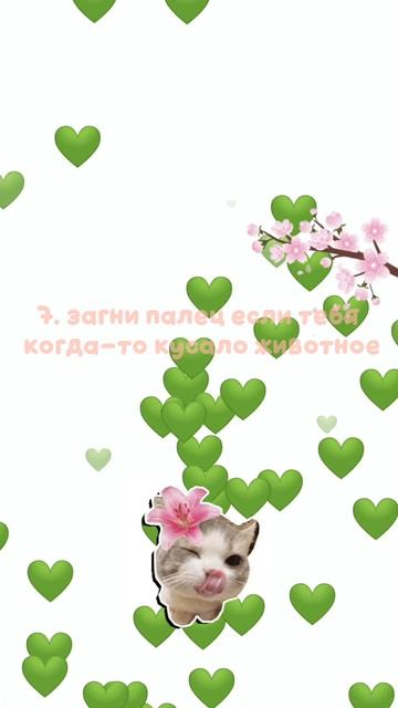 Факты про тебя ✍🏻