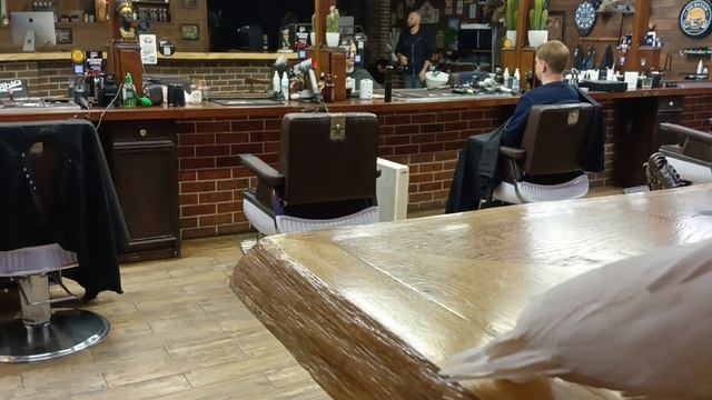 попугай Кеша в барбер шоп