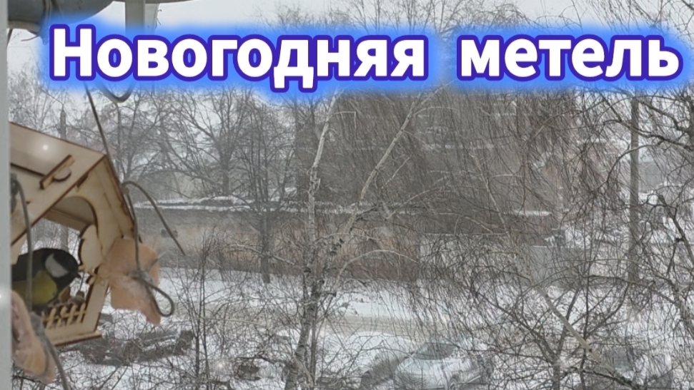 Новая кормушка. Синички любят сало. Новогодняя Метель. Исполняет  Доманова Дарья.