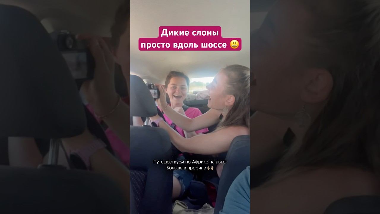 Впервые видим диких слонов в их среде обитания! Африка, Ботсвана. Больше про трип на авто в профиле!