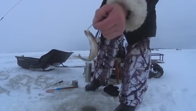 Рыбалка на РАЗМАХАЙКУ ЗИМОЙ Корюшка клевала как из пулемёта