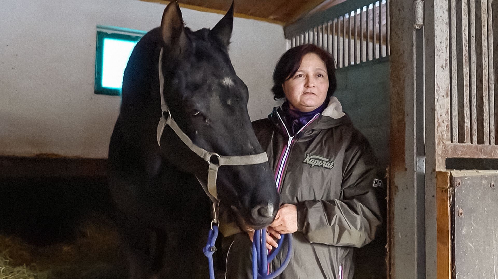 Ахалтекинские лошади в Казахстане: как в Алматы разводят редкую породу скакунов