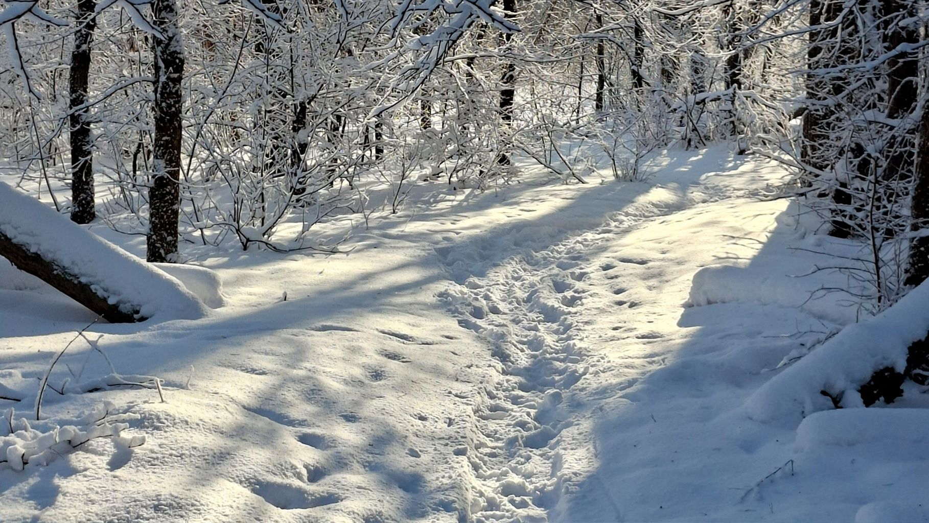 Вот и к нам зима пришла! 4 января 2026