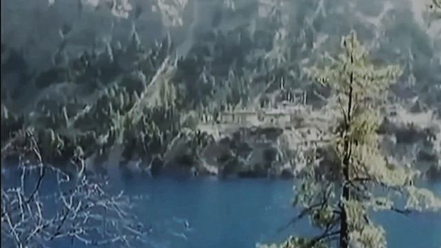 Звук природы. Пение длинноклювой кустарниковой камышевки в предгорье