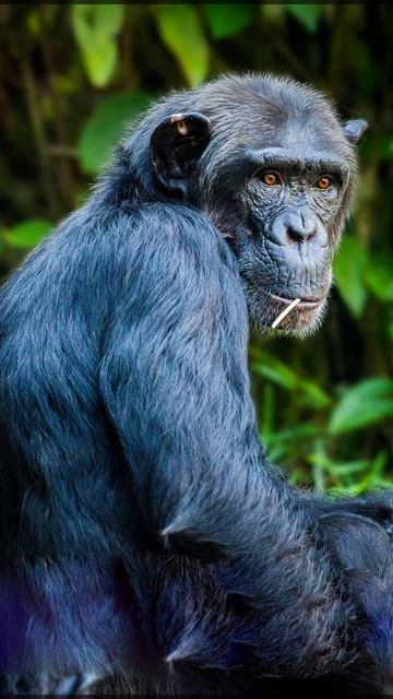 Можа ящо подумать