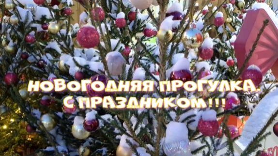 Новогодняя прогулка. С праздником!!!