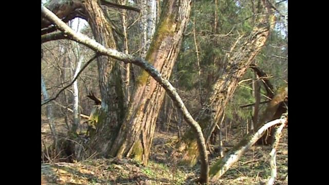 река Ислочь март 2007 года