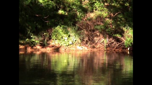 река Ислочь июнь 2007 года