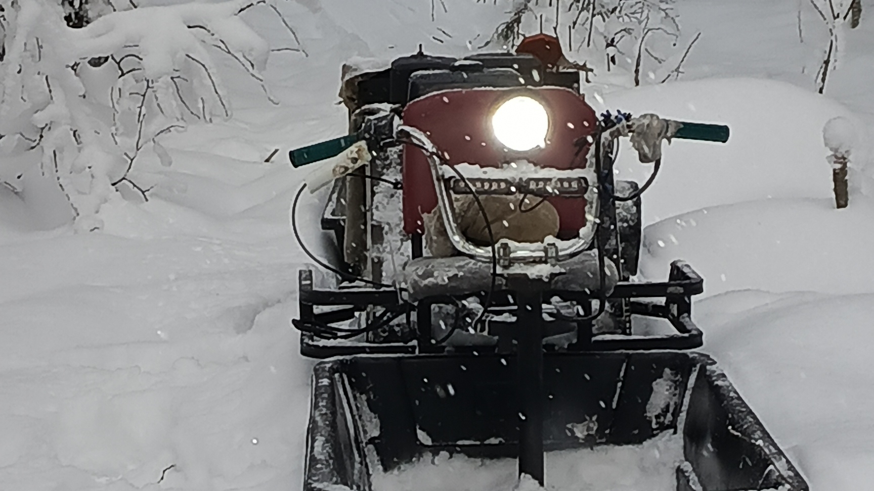 Ещё раз в лес,и думаю не последний.