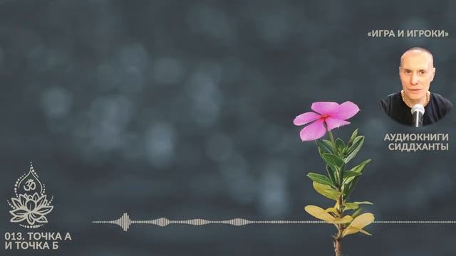 Игра и Игроки. 013. Точка А и точка Б. Аудиокниги Сиддханты (Вячеслава Чернина)