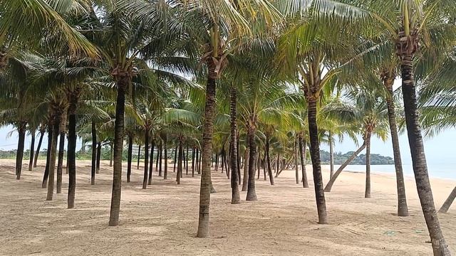 Малибу Фукуока.