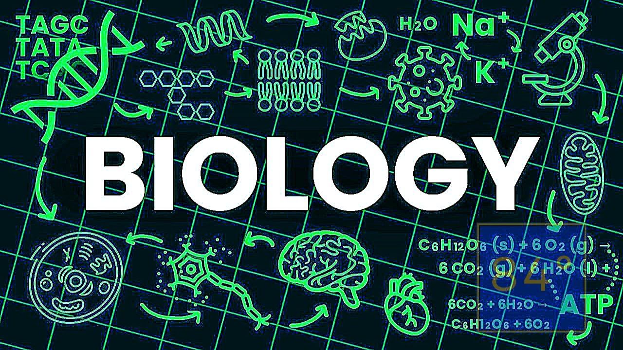 Объяснение БИОЛОГИИ за 18 минут