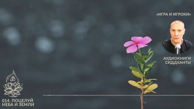 Игра и Игроки. 014. Поцелуй неба и земли. Аудиокниги Сиддханты (Вячеслава Чернина)