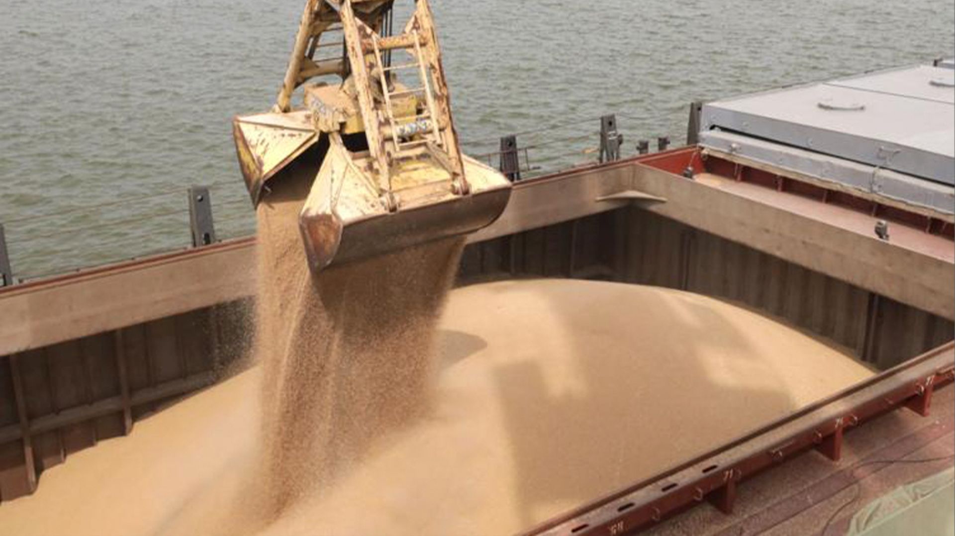 Казахстан экспортировал более 12 миллионов тонн зерна за год. В чем секрет высокого урожая?