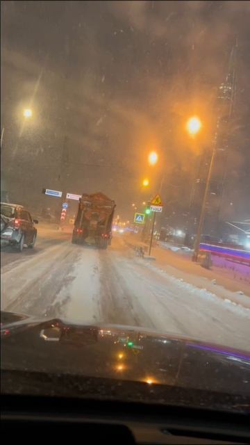 Не солить снег, а лучше чистить..