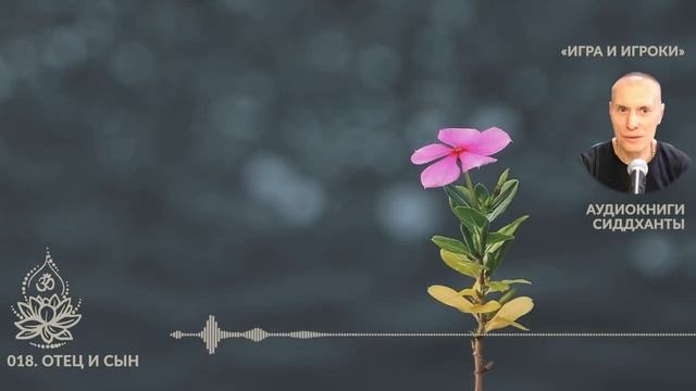 Игра и Игроки. 018. Отец и сын. Аудиокниги Сиддханты (Вячеслава Чернина)