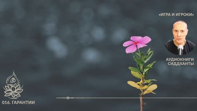 Игра и Игроки. 016. Гарантии. Аудиокниги Сиддханты (Вячеслава Чернина)