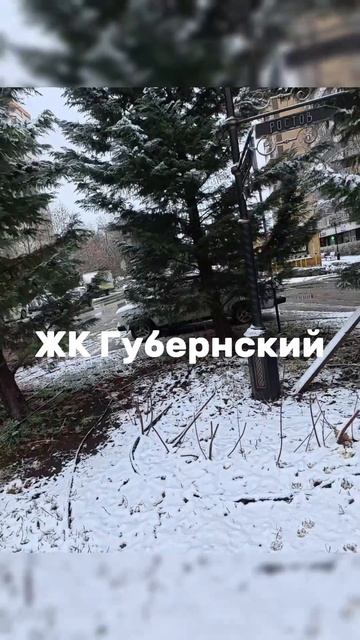 Йорк Бося 31 дек 2025 ЖК Губернский и Восточный