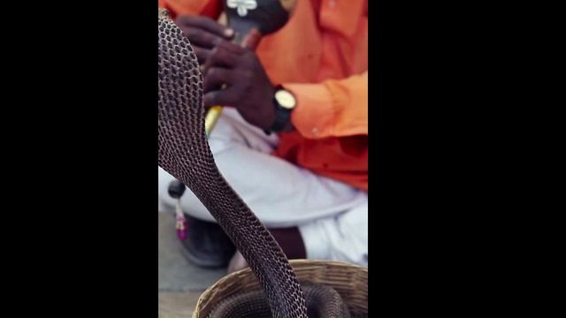 Красота стран, культуры и природы #shorts