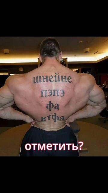 ганвеста фанаты молодцы #ганвест #тату