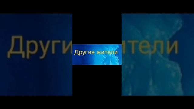 Айсберг по Простоквашино.Прочитать описание обезательно!