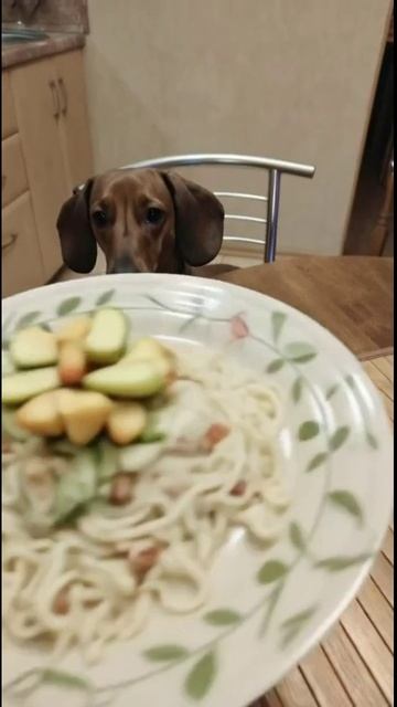 Меня будут кормить?