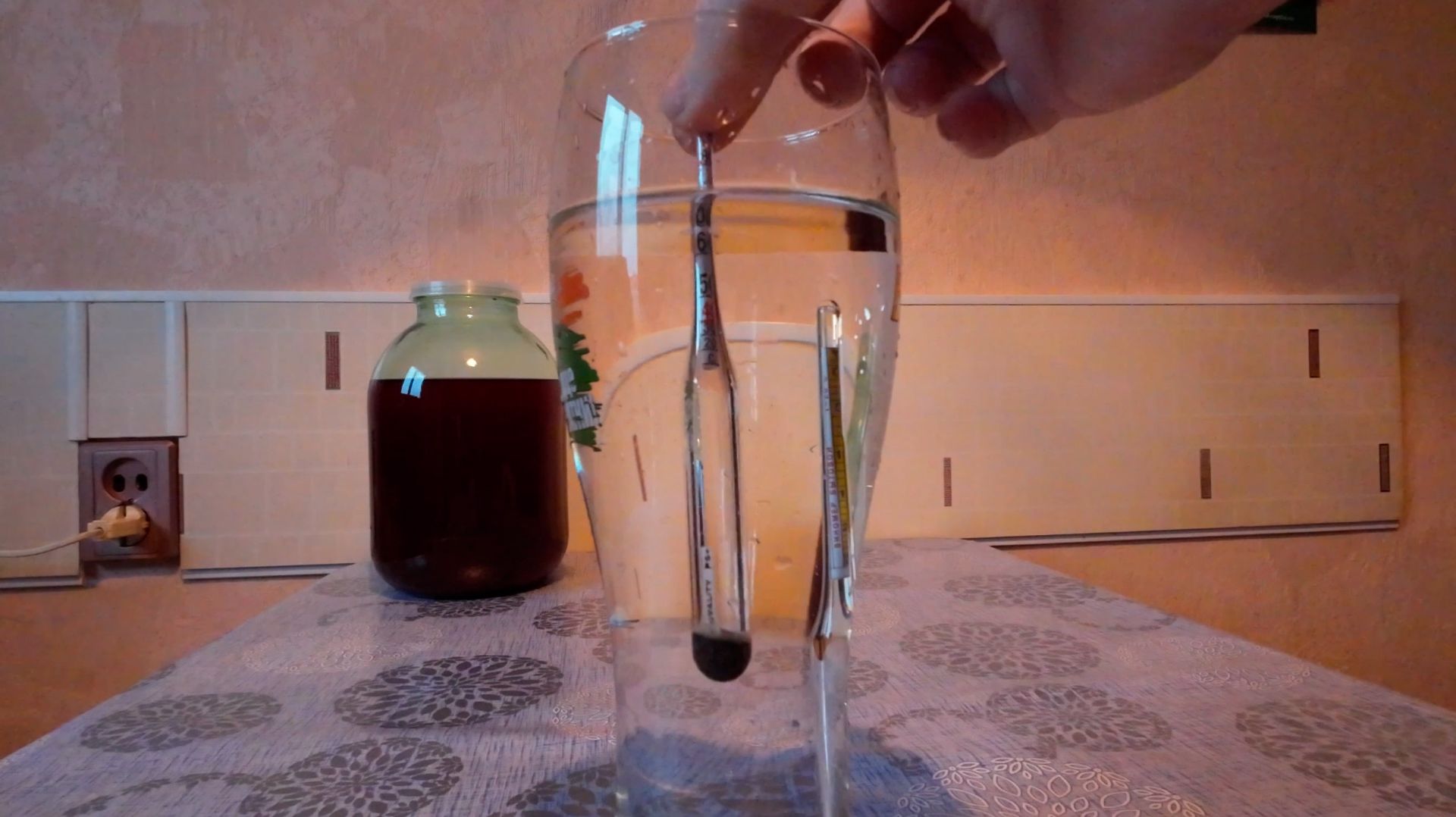 Вино крепленое. Яблоки и тёрн (зима 2025)