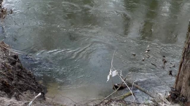 река Ислочь март 2024 года