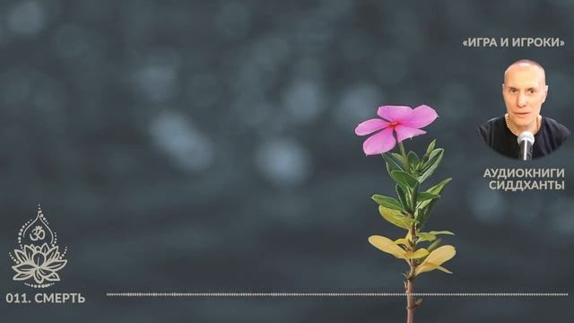 Игра и Игроки.  011.  Смерть.  Аудиокниги Сиддханты (Вячеслава Чернина)